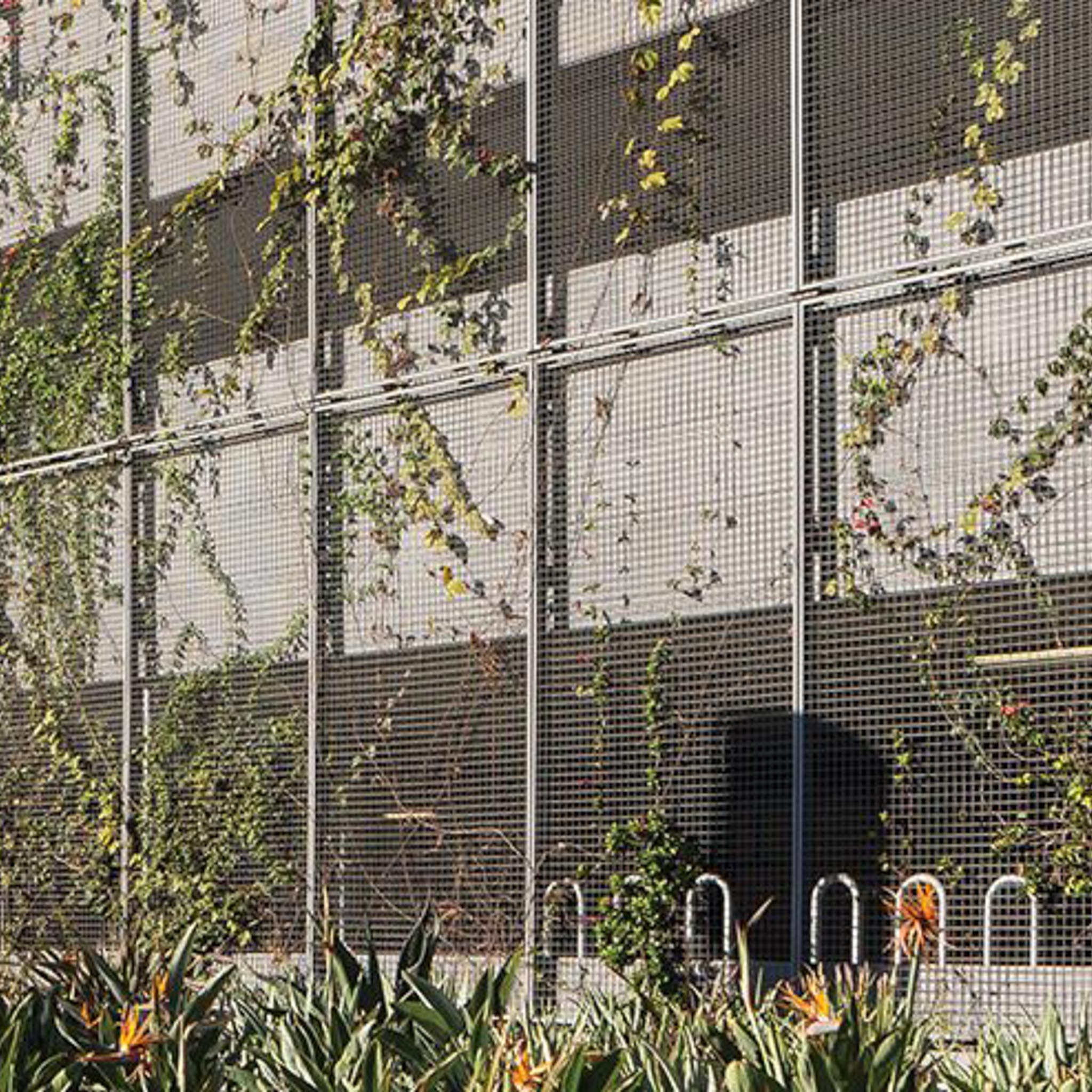 ECO-MESH® - Sustainable Facades, Green Walls & More | McNICHOLS®